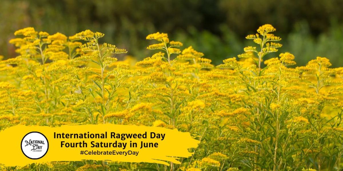 JUNE 24, 2023 | NATIONAL PATCH DAY | SUMMERSGIVING | NATIONAL PRALINES DAY | NATIONAL TAKE BACK ...