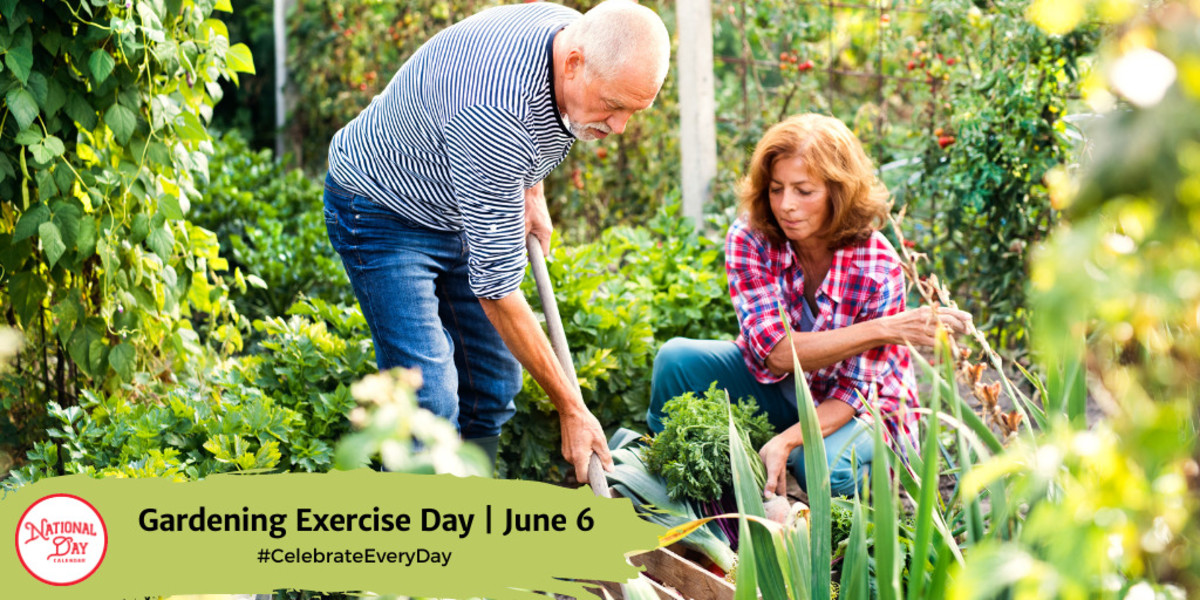 JUNE 6, 2023 | D-DAY | WORLD PEST DAY | NATIONAL EYEWEAR DAY | NATIONAL ...